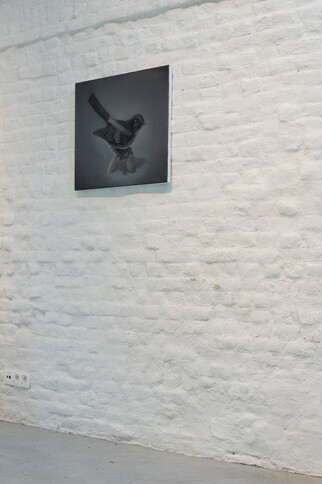 Veerle Stevens › Academie Arendonk
